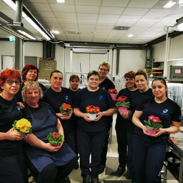 Happy International Women's Day! - IMP Pumps